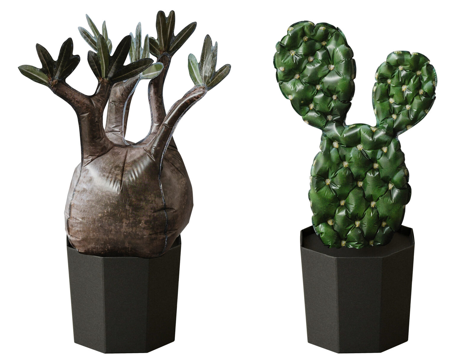 QooSo Plants（クウソープランツ） - QooSo Plants (クウソープランツ)